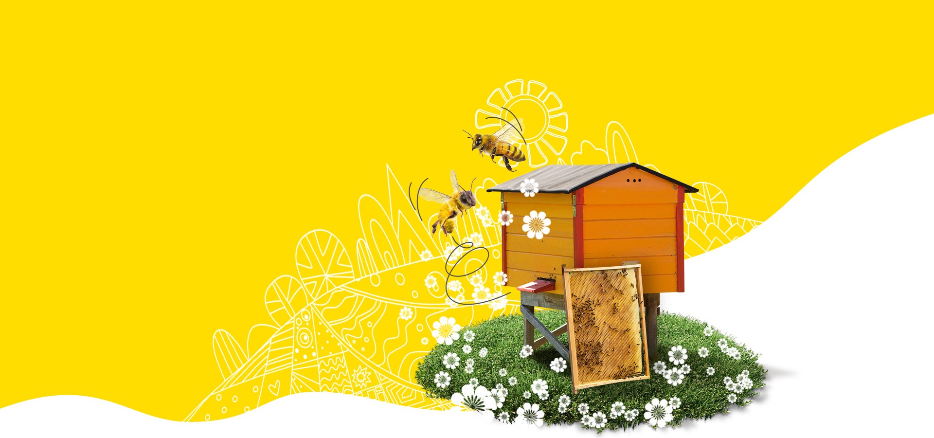 Avicola Ternana: azienda leader per rivenditori e allevatori a Terni