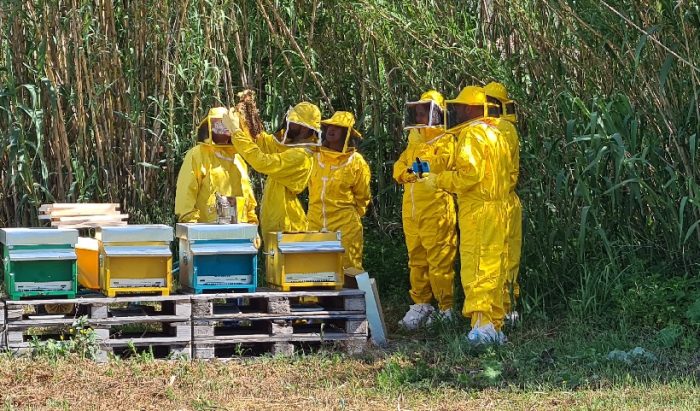 Visite guidate in apiario per diventare apicoltore per un giorno